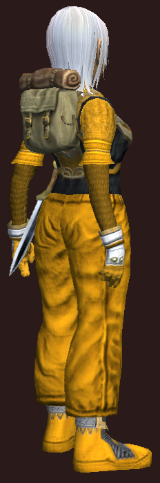 New Collections and Items arrive in February’s Year of Darkpaw in ...