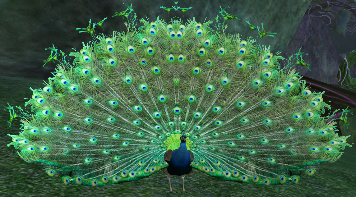 EQ2 Masquerades of Divinity – Tunare – The EverQuest Show